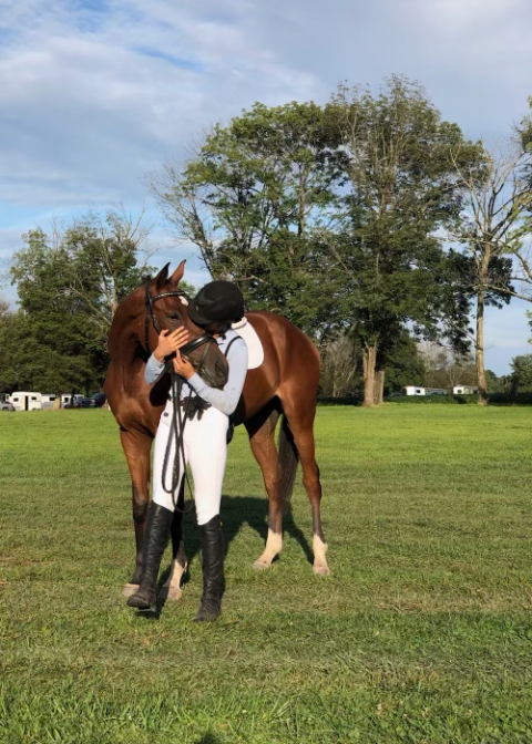 About - Painted Dreams Horse Farm