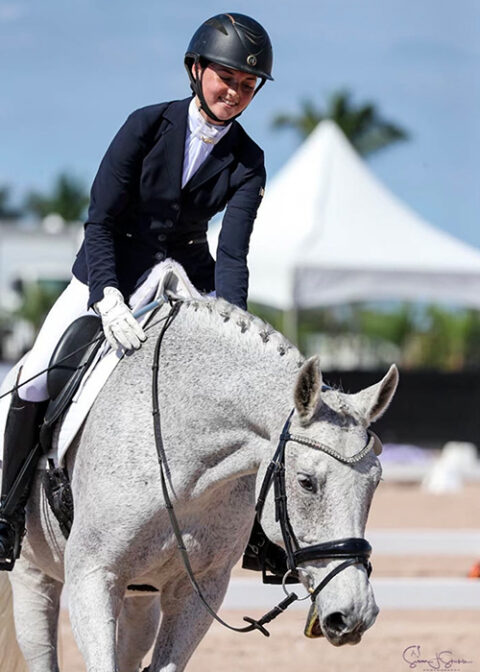 Lessons - Painted Dreams Horse Farm