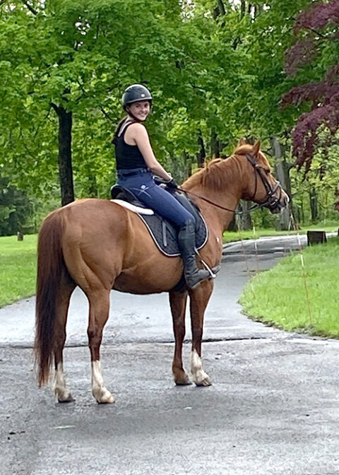 Lessons - Painted Dreams Horse Farm
